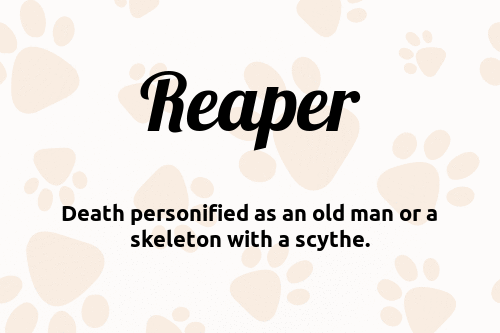 Reaper 🐶 - Dog Name Meaning & Popularity | PupNames.com™