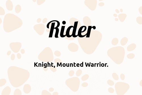 Rider 🐶 - Dog Name Meaning & Popularity | PupNames.com™