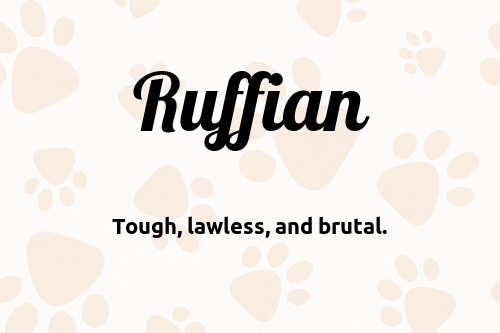 Ruffian 🐶 - Dog Name Meaning & Popularity | PupNames.com™