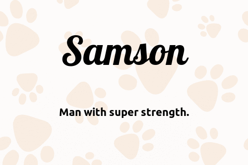 Samson 🐶 - Dog Name Meaning & Popularity | PupNames.com™