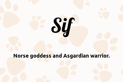 Sif 🐶 - Dog Name Meaning & Popularity | PupNames.com™