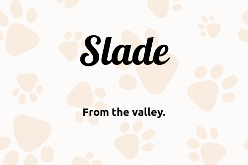 Slade 🐶 - Dog Name Meaning & Popularity | PupNames.com™