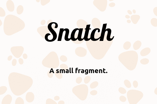 Snatch 🐶 - Dog Name Meaning & Popularity | PupNames.com™