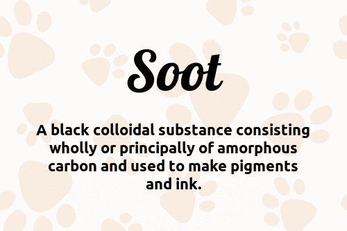 Soot 🐶 - Dog Name Meaning & Popularity | PupNames.com™