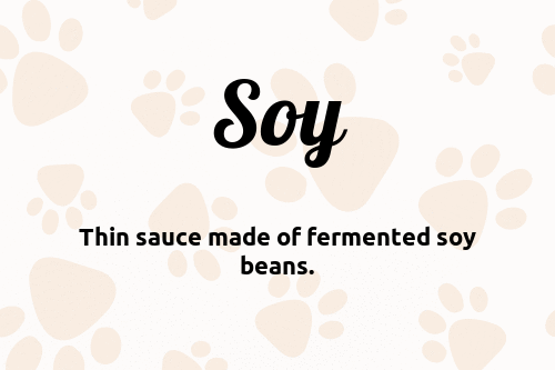 Soy 🐶 - Dog Name Meaning & Popularity | PupNames.com™