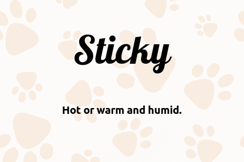Sticky 🐶 - Dog Name Meaning & Popularity | PupNames.com™
