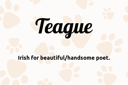 Teague 🐶 - Dog Name Meaning & Popularity | PupNames.com™