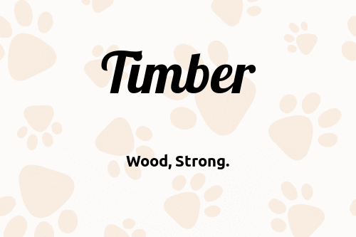 Timber 🐶 - Dog Name Meaning & Popularity | PupNames.com™