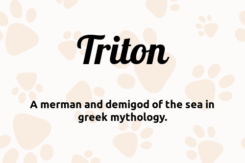 Triton 🐶 - Dog Name Meaning & Popularity | PupNames.com™