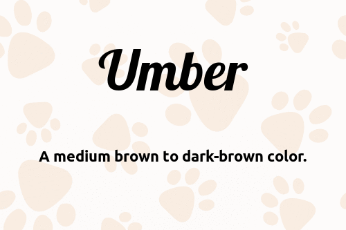 Umber 🐶 - Dog Name Meaning & Popularity | PupNames.com™