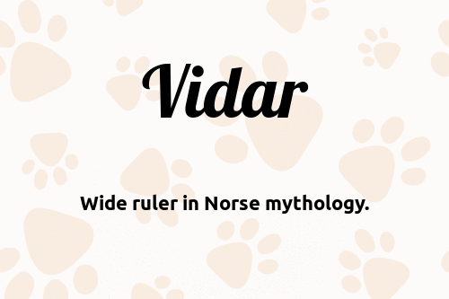 Vidar 🐶 - Dog Name Meaning & Popularity | PupNames.com™