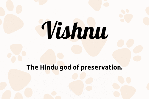 Vishnu 🐶 - Dog Name Meaning & Popularity | PupNames.com™