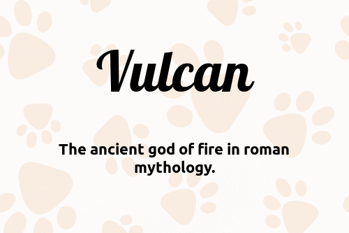 Vulcan 🐶 - Dog Name Meaning & Popularity | PupNames.com™