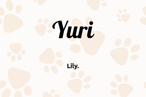 Yuri 🐶 - Dog Name Meaning & Popularity | PupNames.com™
